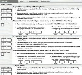 MDS 3.0 and Therapy - buildingtherapyleaders.com